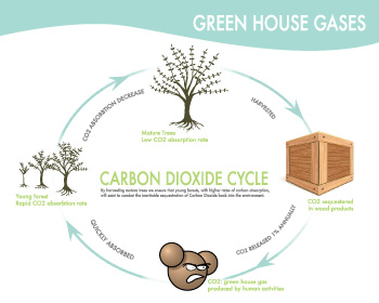 How Trees are Like Batteries